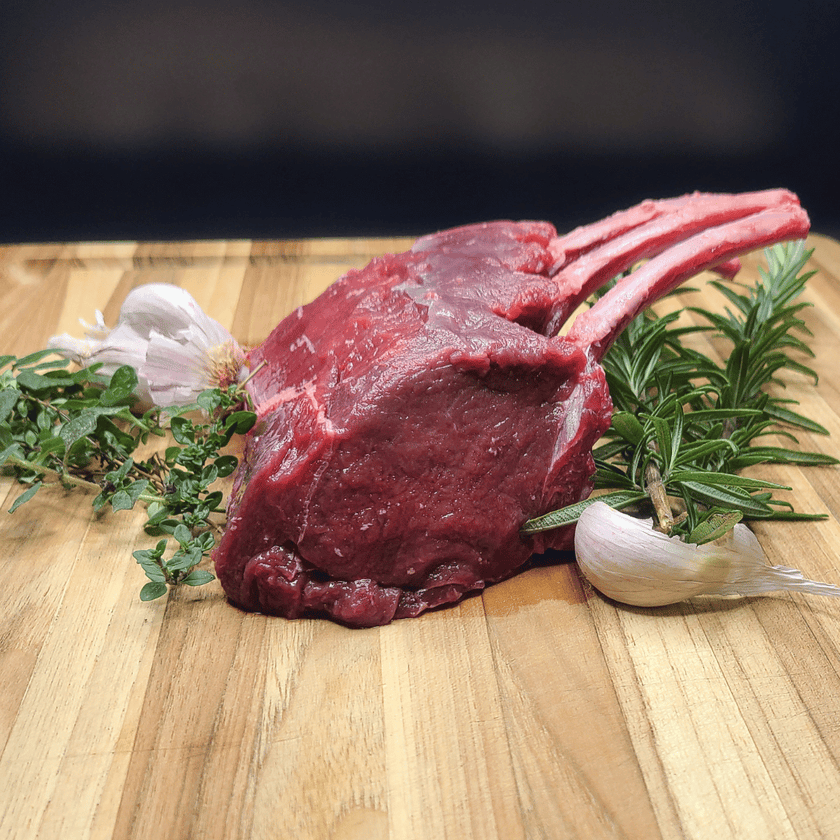 Premium Elk Frenched Rack: Lean, Protein-rich, and Flavorful Ribs ...