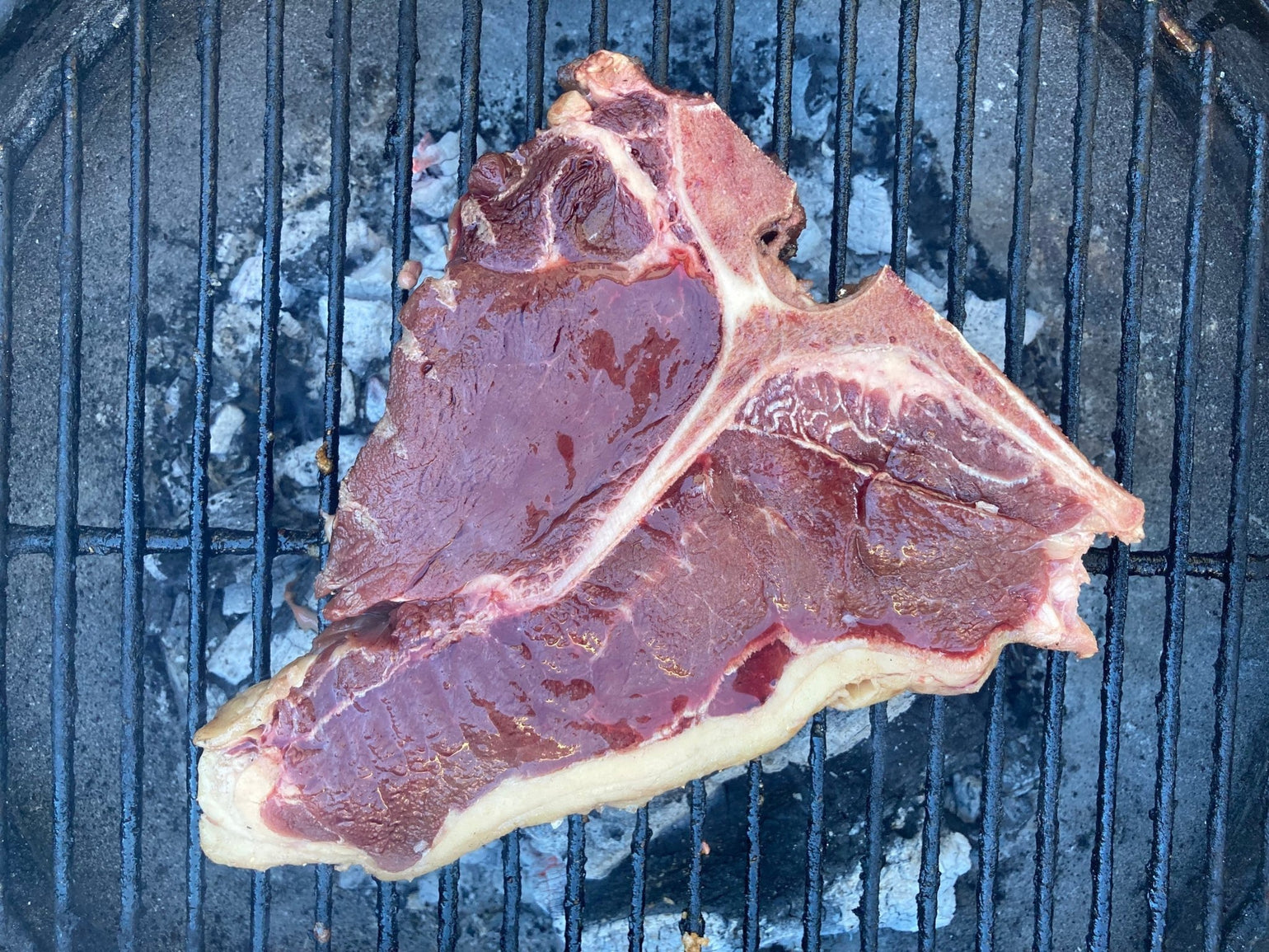 Buffalo T-Bone Cowboy Steak: Bison Steak for Sale Online or In Store ...